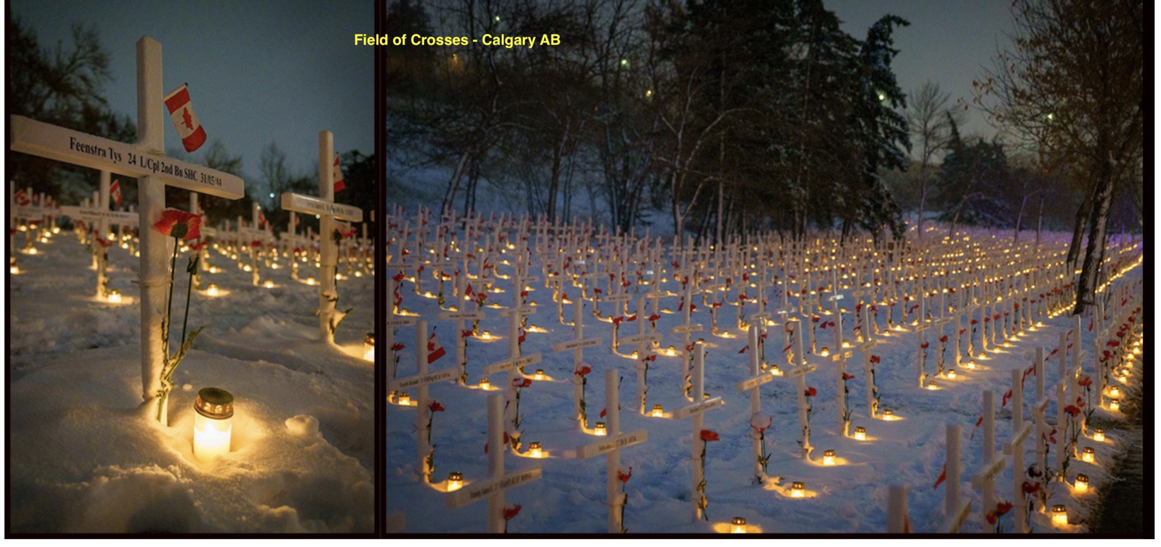 NAC News - Edition K487 - Naval Association of Canada